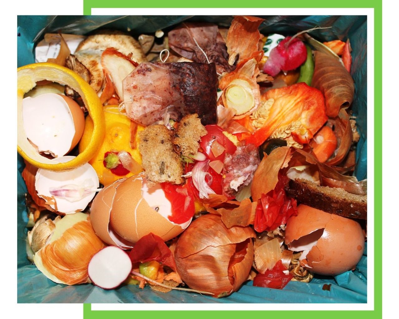 Food Waste Collection - New Look Waste Manchester